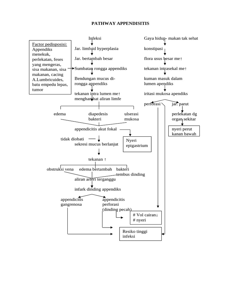 Pathway Appendisitis | PDF