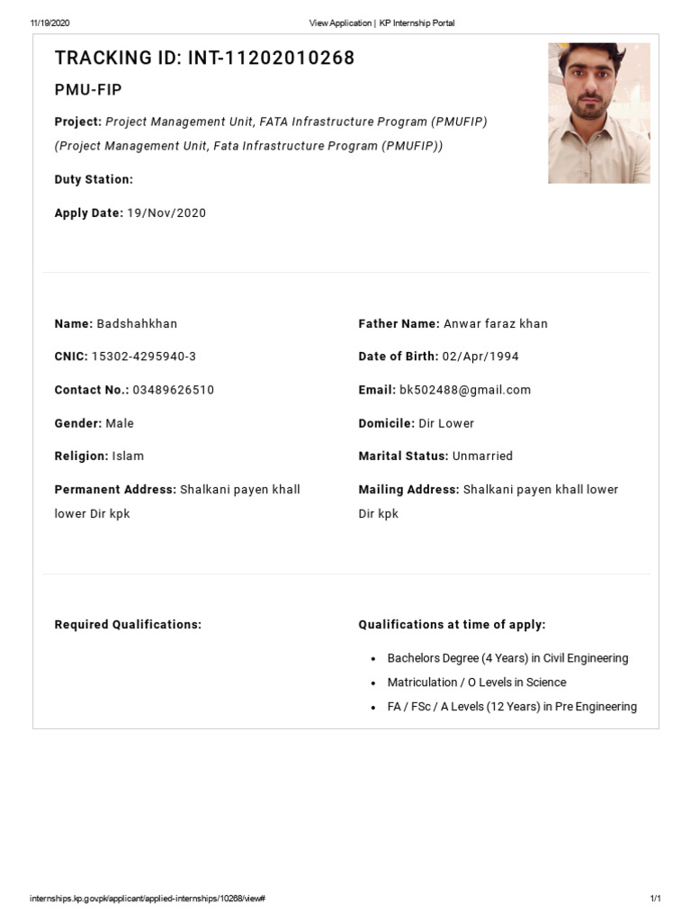 View Application - KP Internship Portal | PDF