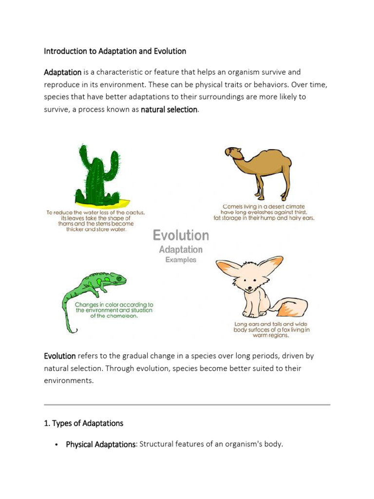 Evolution & Adaptation Basics | PDF | Adaptation | Evolution