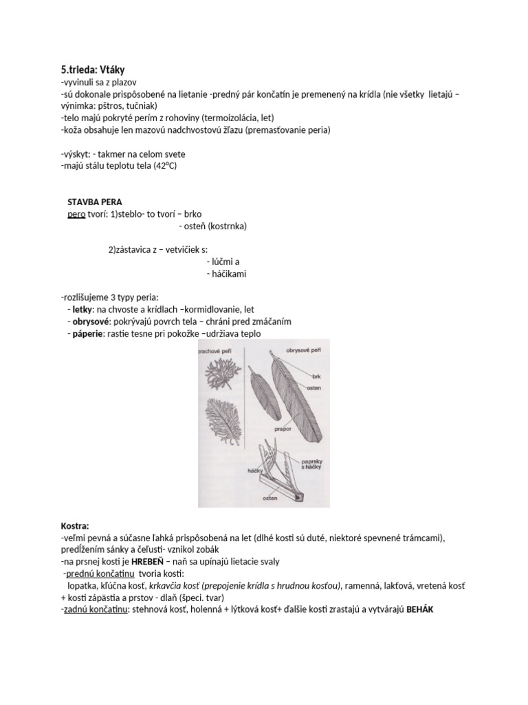 Vtáky | PDF