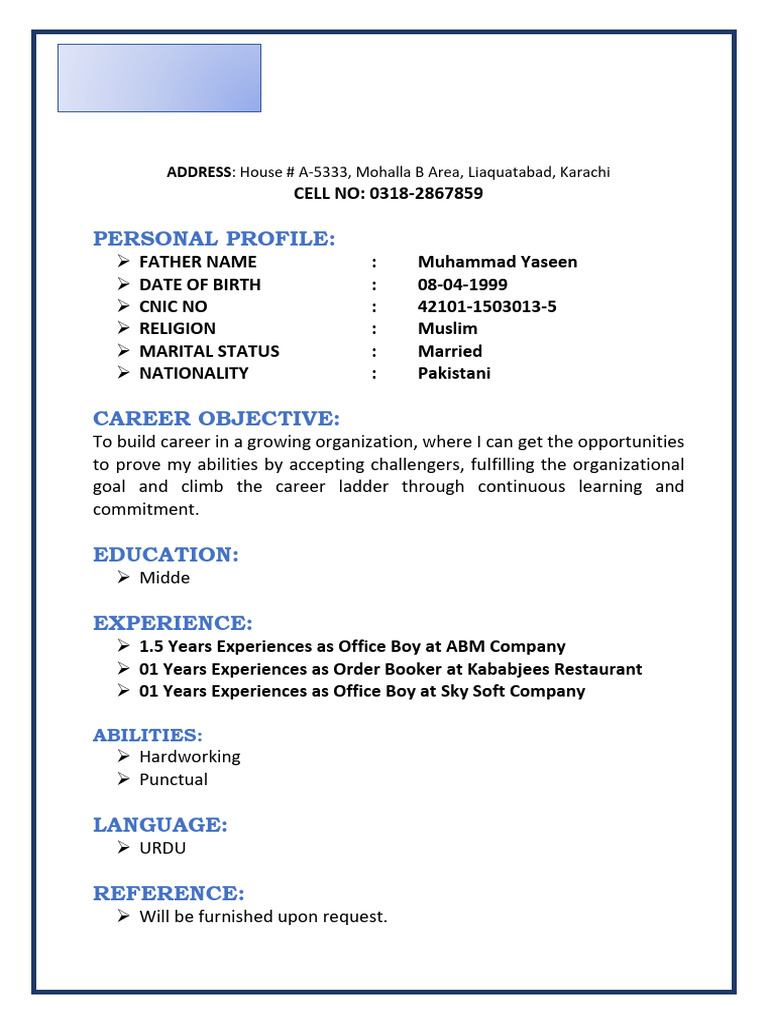 Cv M Saqib | PDF