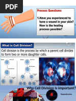 Mitosis Mover Webquest Bioman PDF | PDF | Mitosis | Chromosome