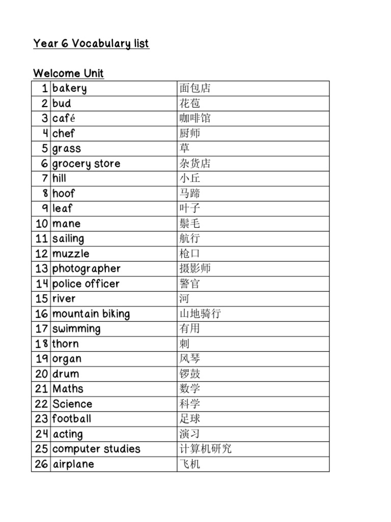 Y6 Vocabulary | PDF