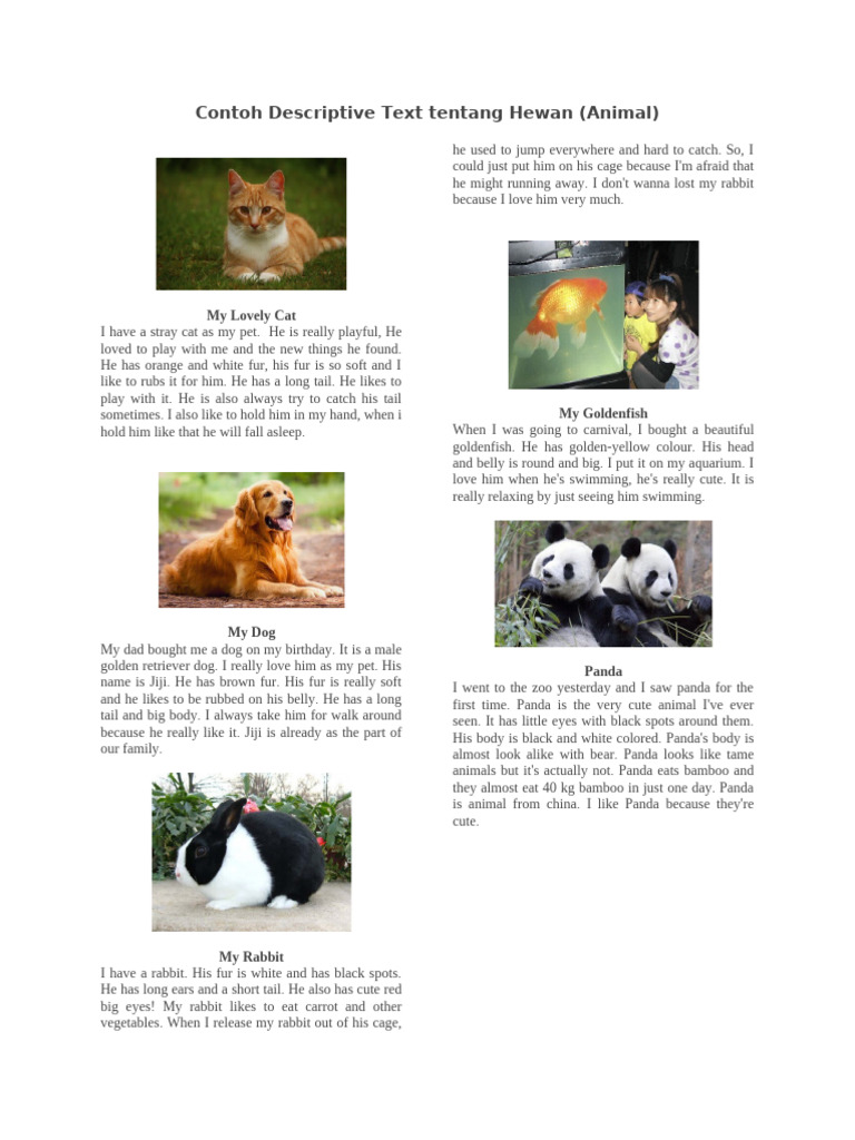 Contoh Descriptive Text Tentang Hewan | PDF | Elephant | Giant Panda