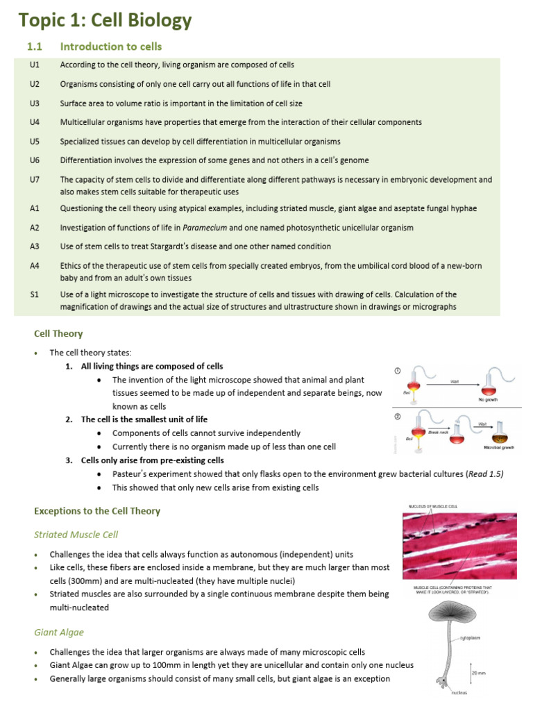 Biology Topic 1 Cells PDF | PDF | Cell Membrane | Mitosis