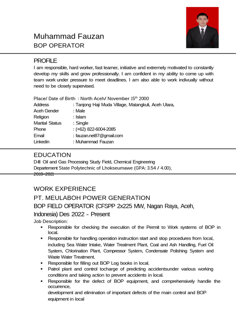 Muhammad Fauzan's CV | PDF | Water | Natural Gas