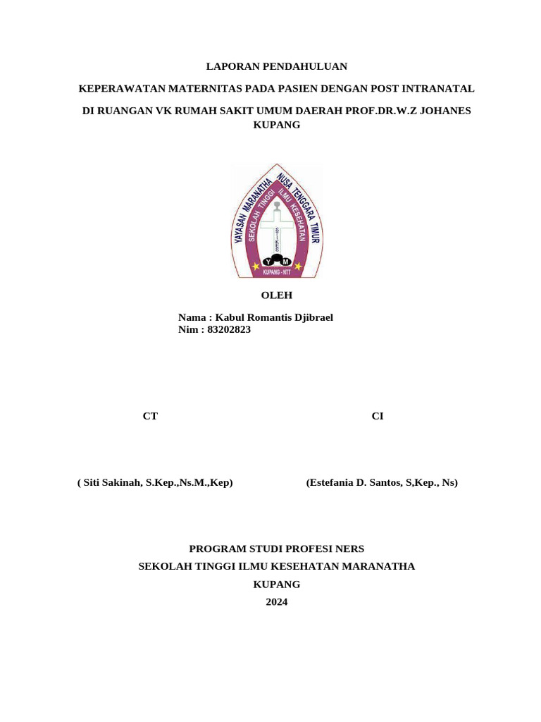 LP Persalinan Normal | PDF