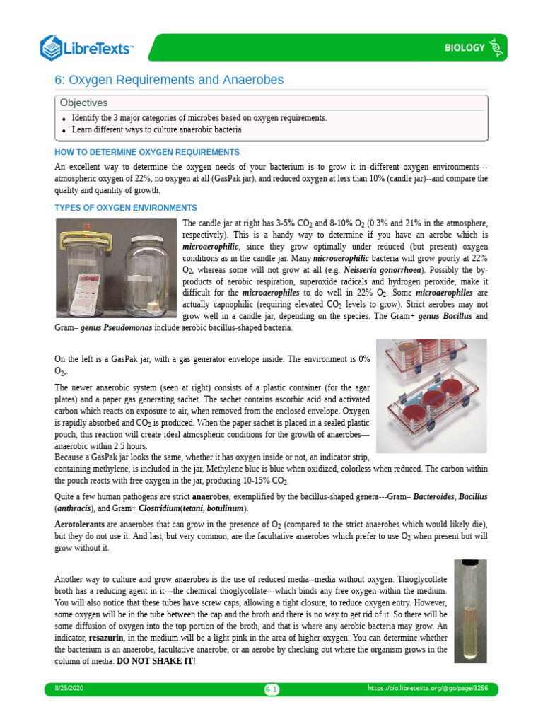 06 Oxygen Requirements and Anaerobes | PDF | Oxygen | Bacteria 06 Oxygen Requirements and Anaerobes | PDF | Oxygen | Bacteria
