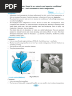 Biology Practical File | PDF | Teaching Methods & Materials | Science ...