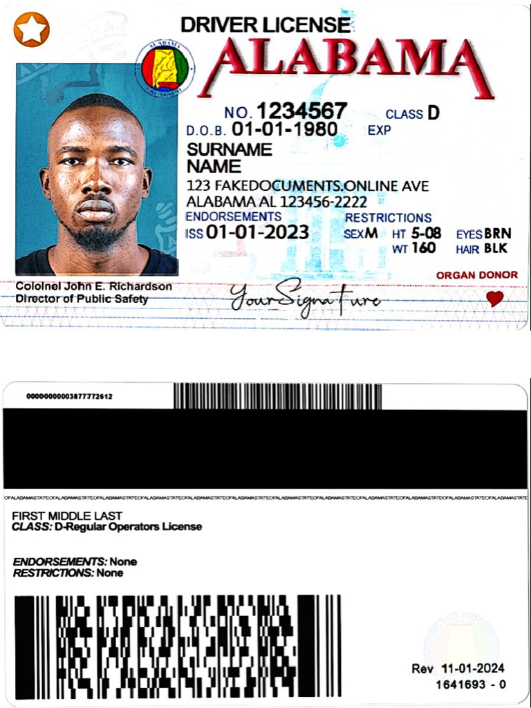 ACE Scanner_2024_10_24 | PDF