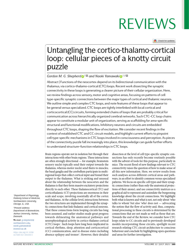 Untangling The Cortico-Thalamo-Cortical Loop - Cellular Pieces of A ...
