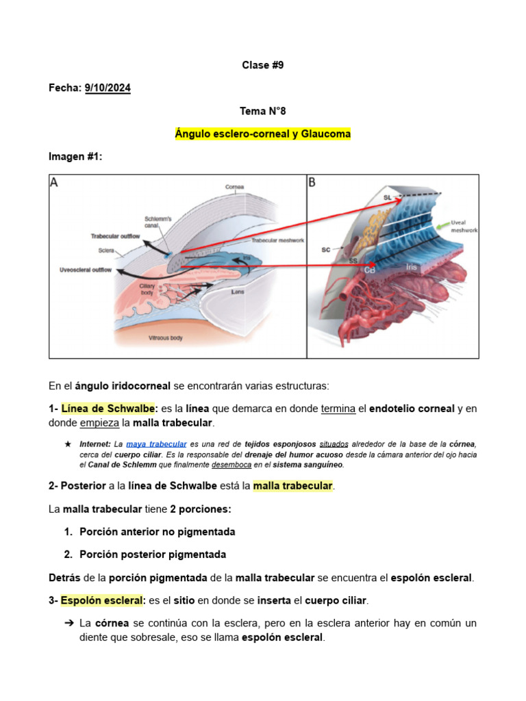 Tema N°8 - Ángulo Iridocorneal | PDF | Glaucoma | Ojo humano
