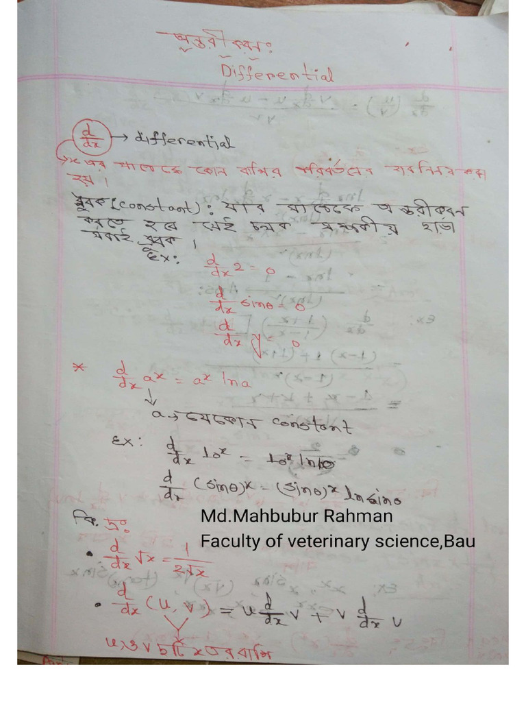 Differential Lecture | PDF