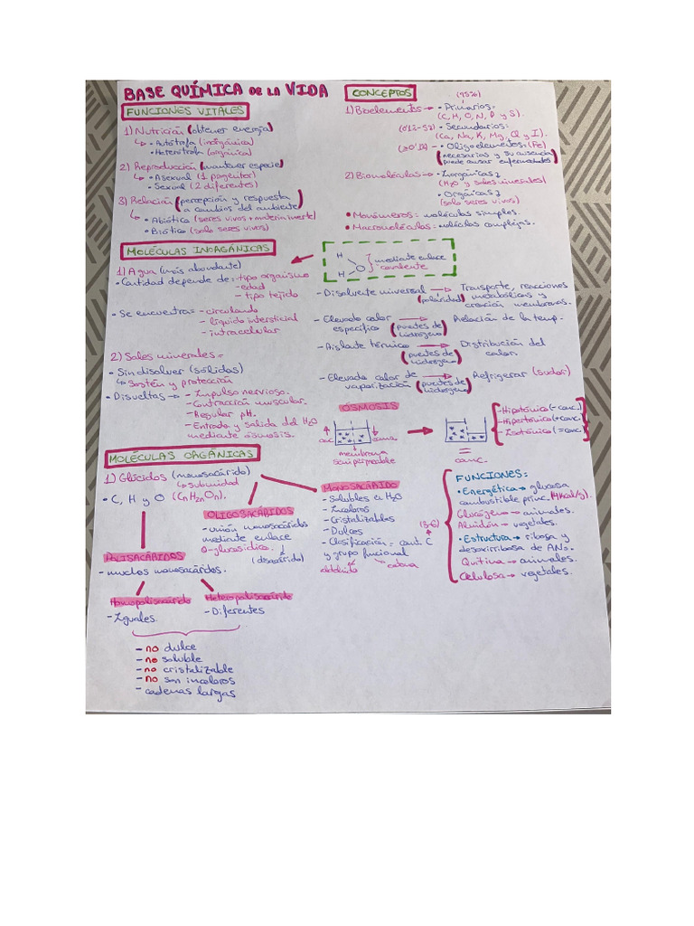 esquemas bio 1 | PDF