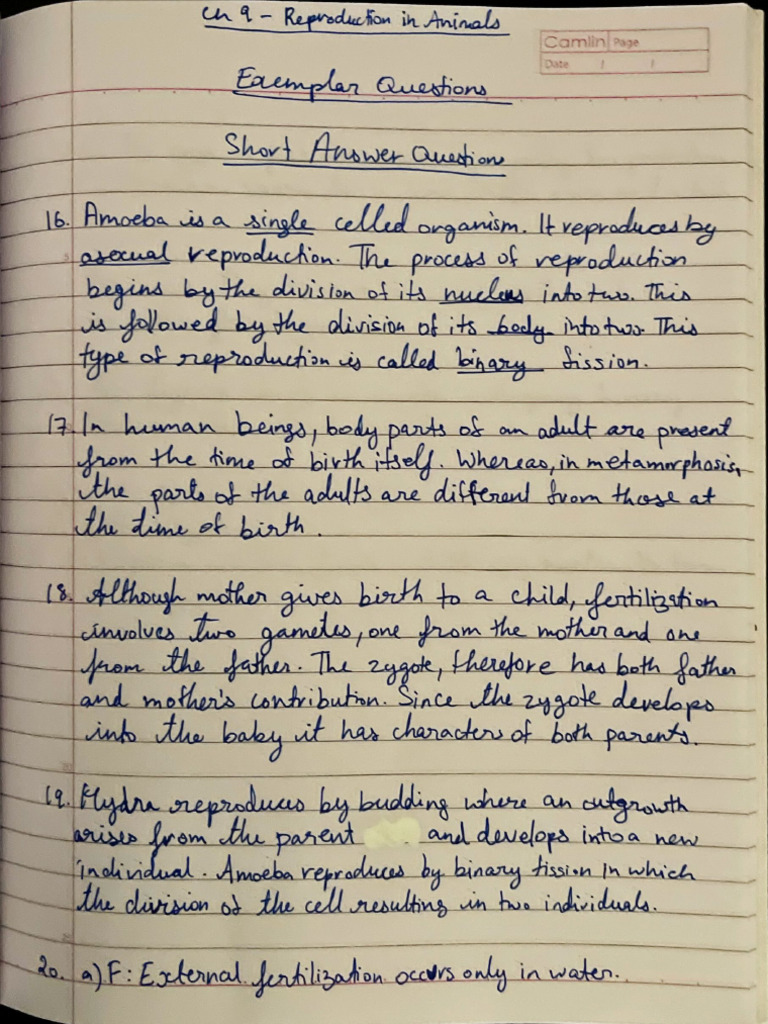 Biology Pongal Homework | PDF