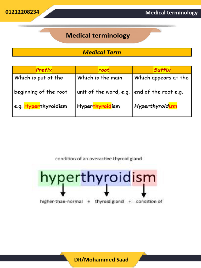 Medical Terminology: Prefixes and Suffixes | PDF | Anatomical Terms Of ...