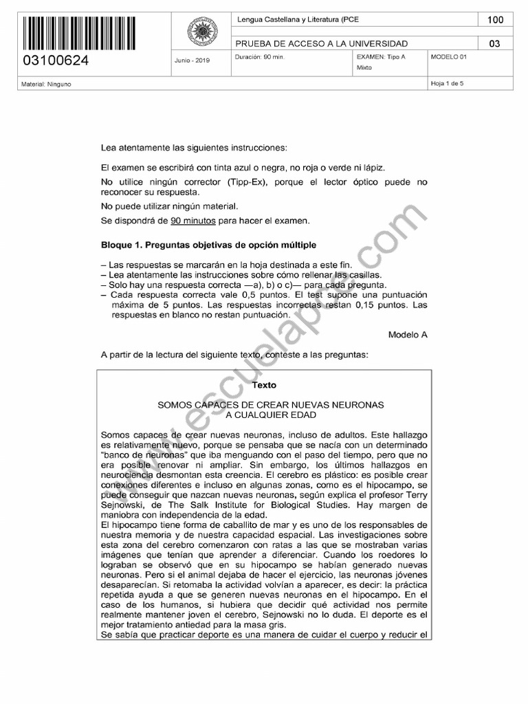 Español 2019 | PDF