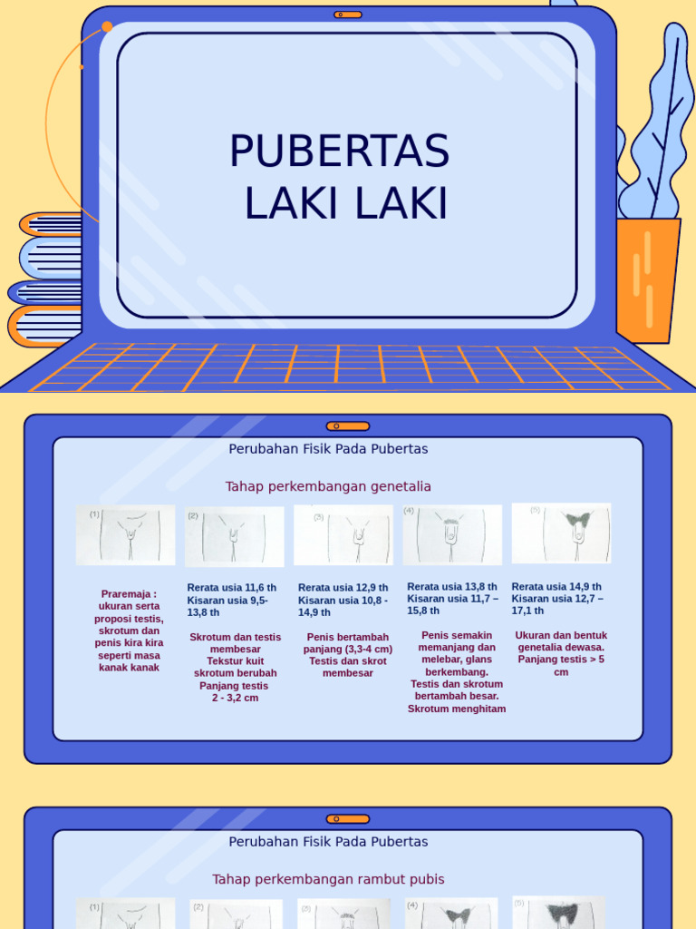 Pubertas Laki Laki | PDF