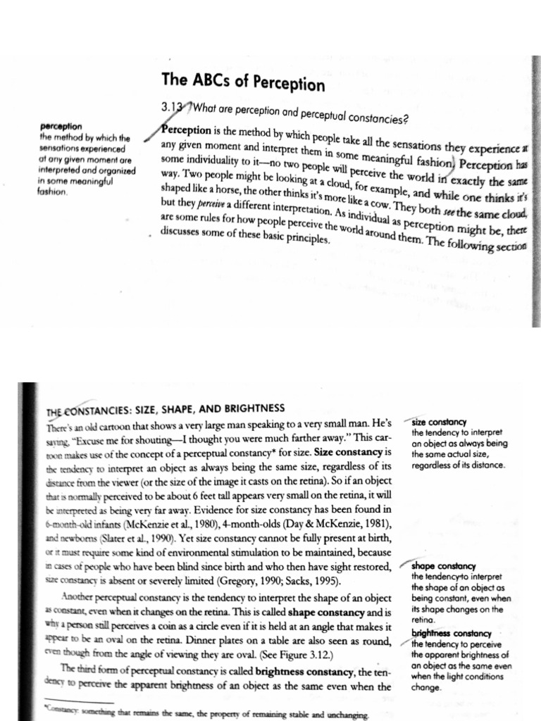 Intro To Perception | PDF