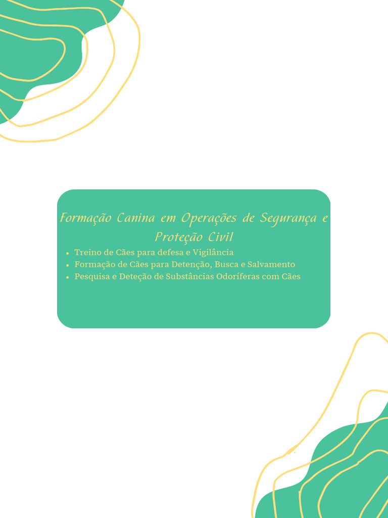 MÃ Dulo 2 - Capa | PDF