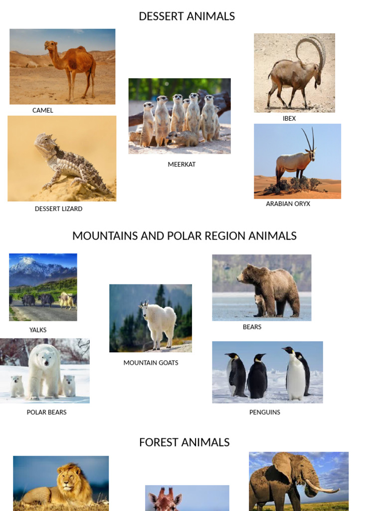 Jivesh Project | PDF