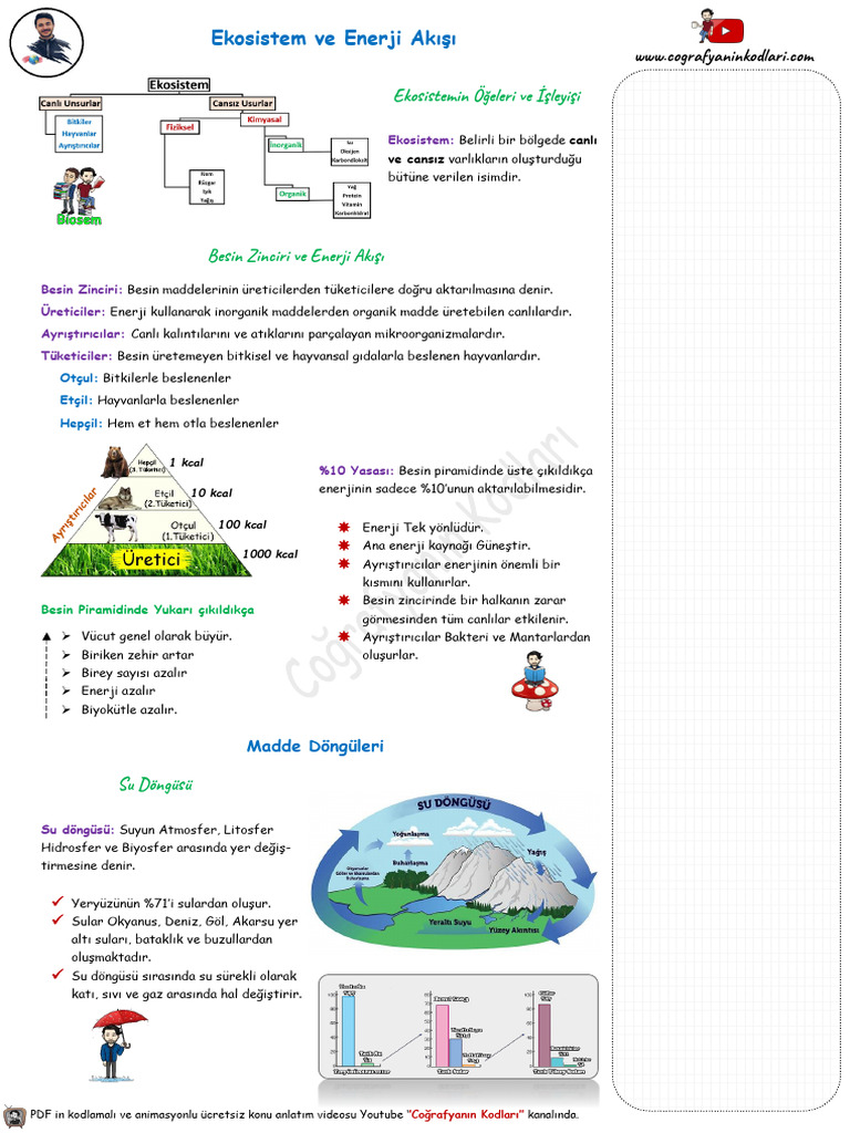 3 Cografya 11 Sinif Ekosistemler PDF Ders Notlari Indir | PDF 3 Cografya 11 Sinif Ekosistemler PDF Ders Notlari Indir | PDF