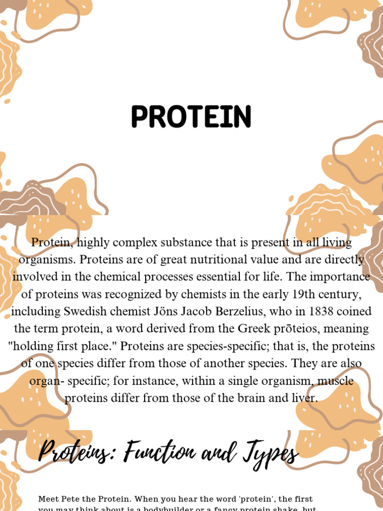 PROTEIN-REPORT-_20241014_183604_0000 | PDF | Amino Acid | Proteins
