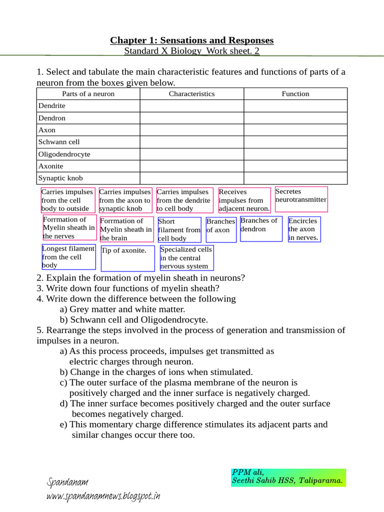 Std_X-Biology_worksheet_2_Ch-1 | PDF