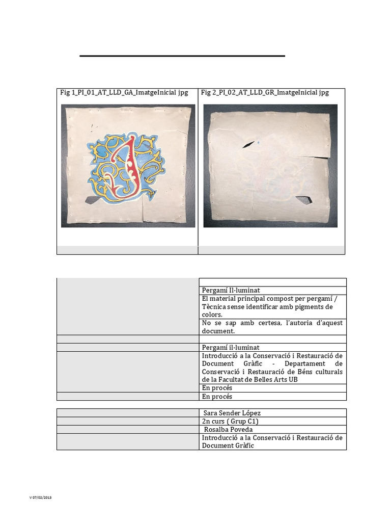 Pergami Memoria Final | PDF