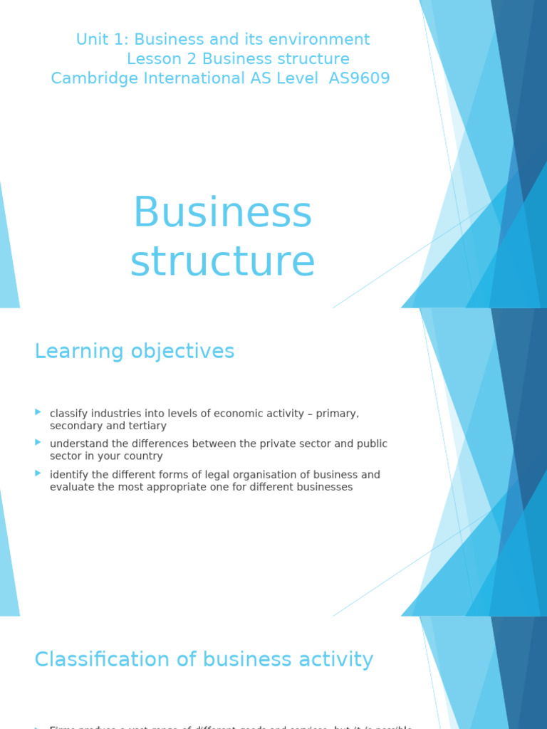 Unit-2-Business-structure | PDF | Franchising | Sole Proprietorship