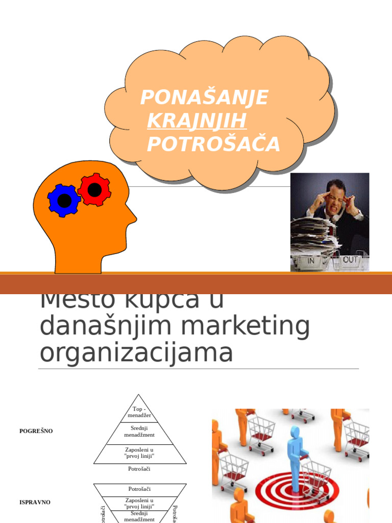 Ponasanje Krajnjih Potrosaca | PDF