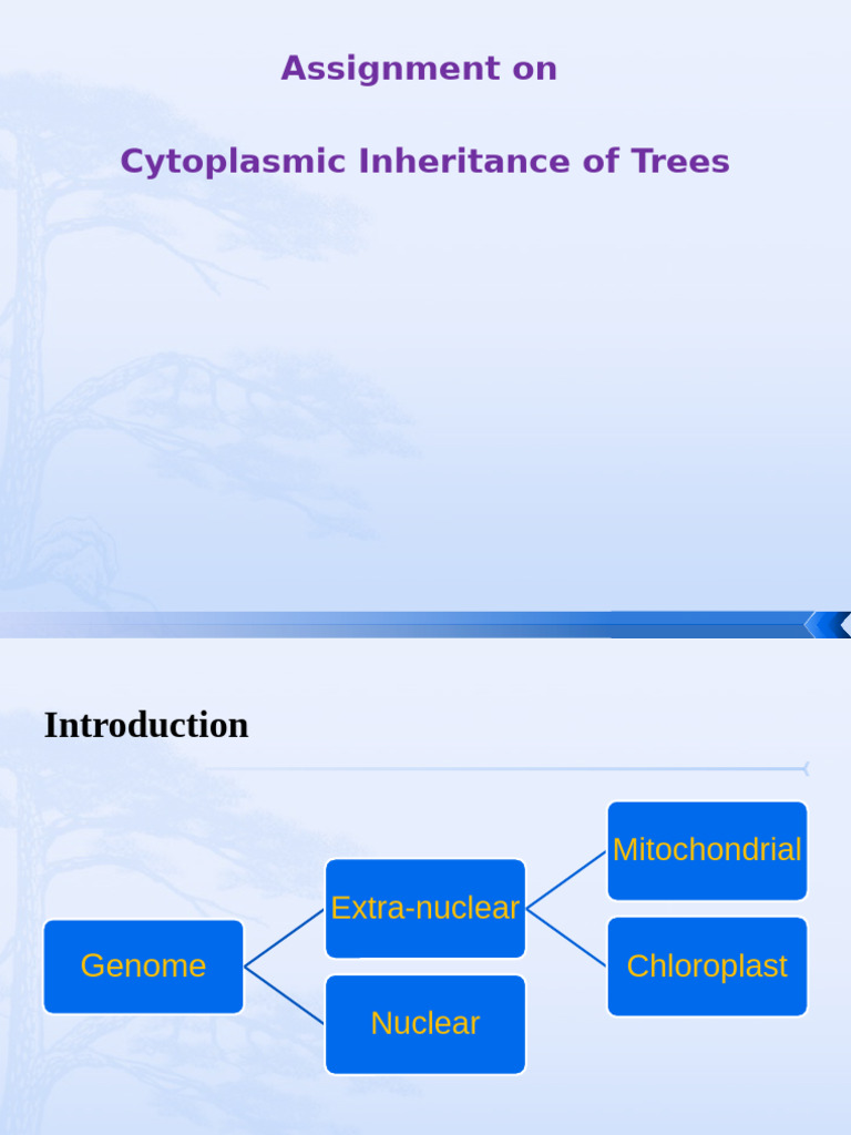 Cytoplasmic Inheritance | PDF | Mitochondrion | Chloroplast
