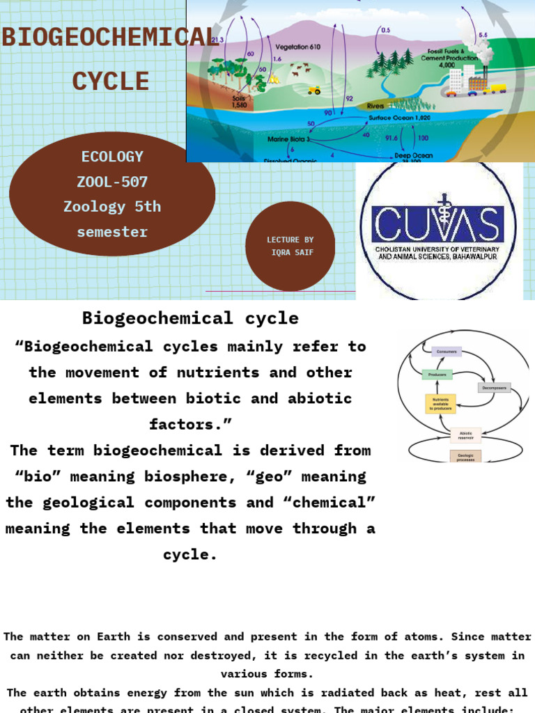 Biogeochemical Cycles Ecology | PDF | Nitrogen | Carbon Cycle