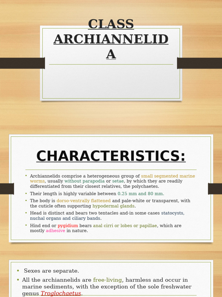 Class Archiannelida | PDF | Home & Garden | Science & Mathematics