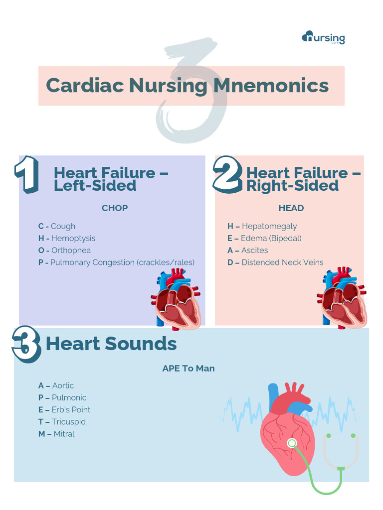 3 must know Cardiac nursing mnemonics | PDF