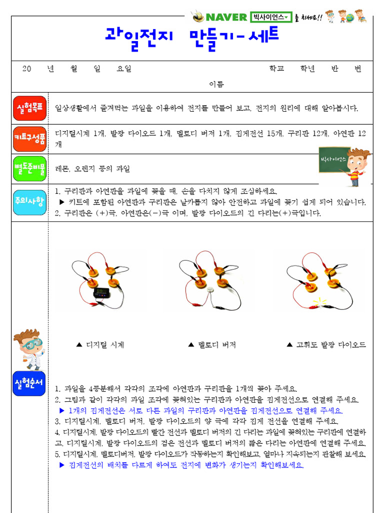 Fruits Battery | PDF
