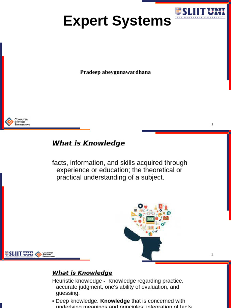 Expert System | PDF | Knowledge | Expert