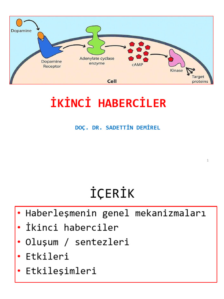 İkinci Haberciler | PDF