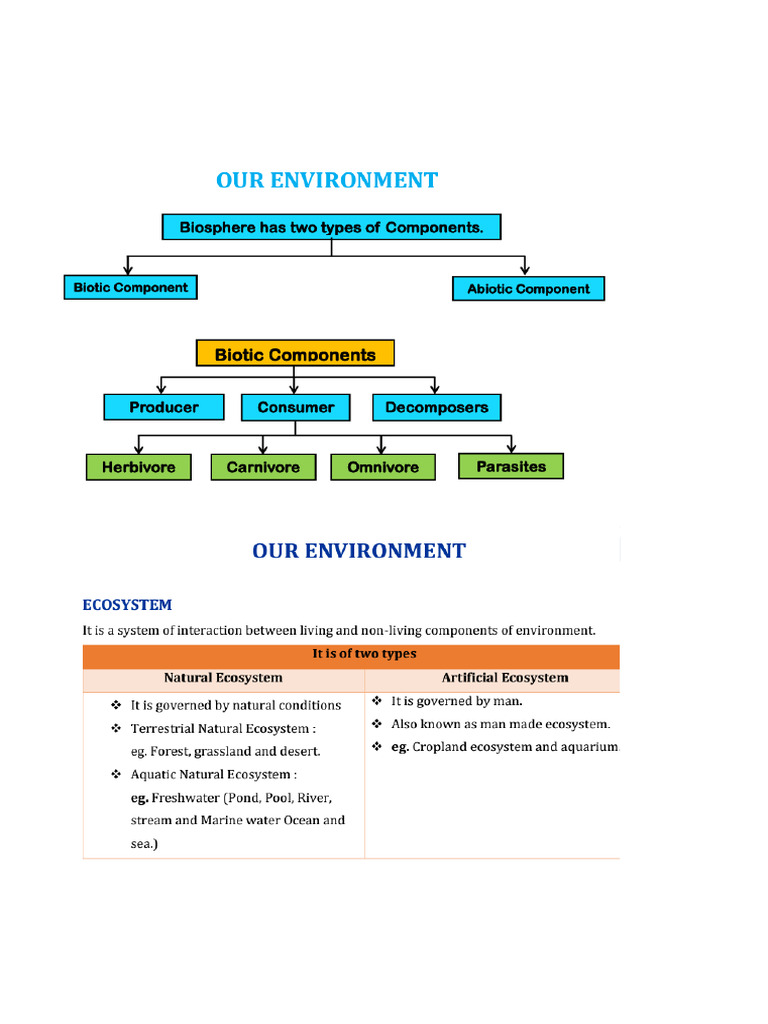 Our Environment Notes | PDF
