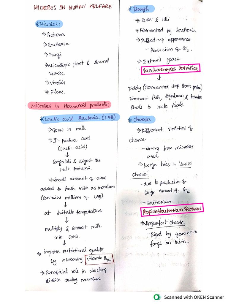 Microbes in Human Welfare Notes Neet | PDF