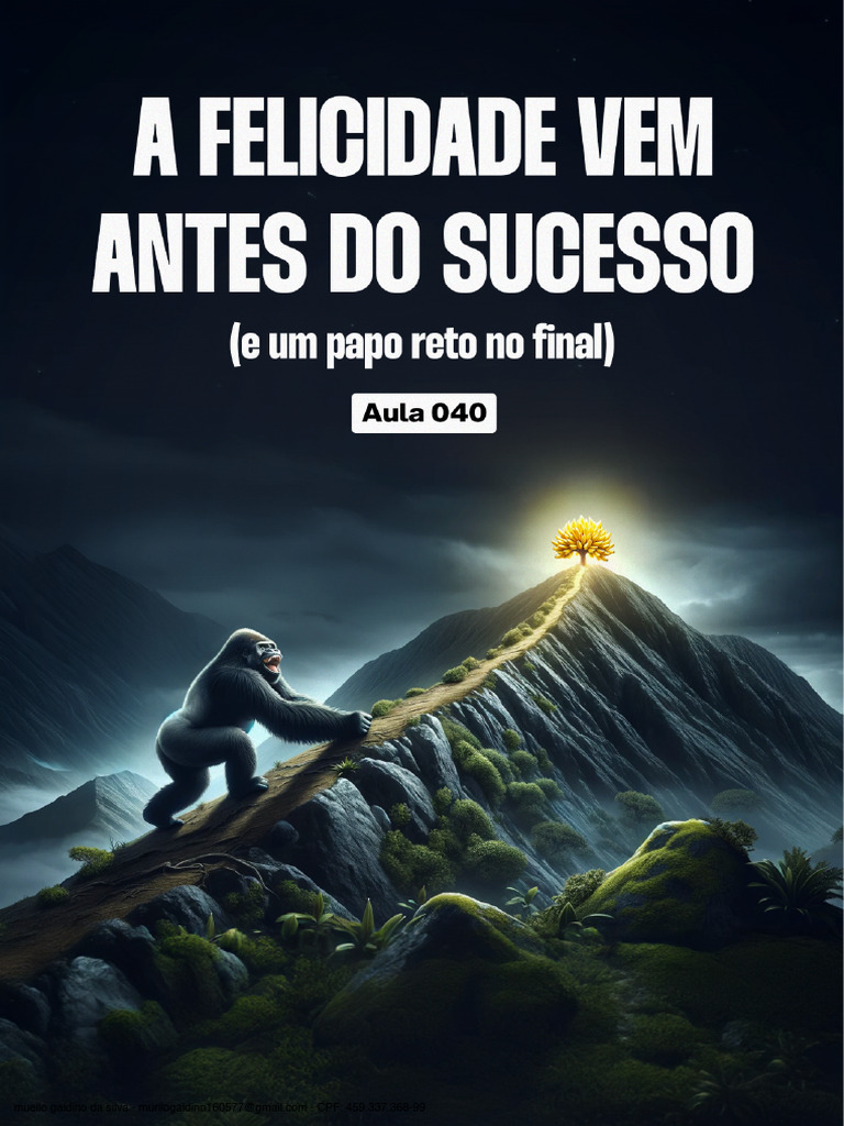 040 - A FELICIDADE VEM ANTES DO SUCESSO (E Um Papo Reto No Final ...