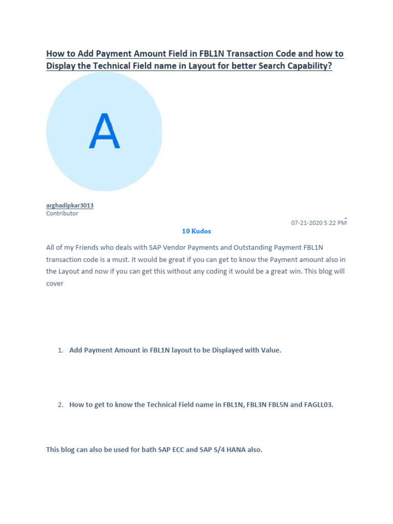 SAP FBL1N Payment Field Guide | PDF | Computing | Software
