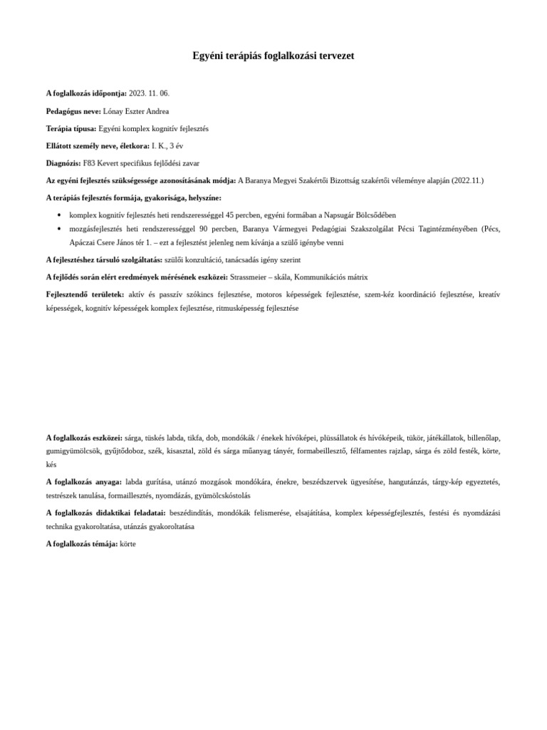 Egyéni Terápiás Foglalkozási Tervezet I.K. | PDF