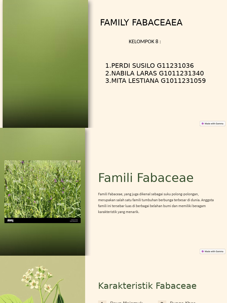 Famili Fabaceae | PDF