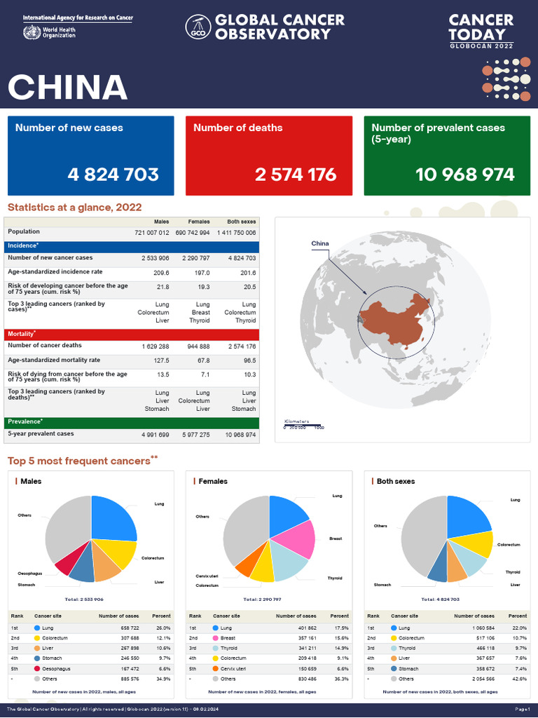 160-china-fact-sheet | PDF | Cancer | Lung Cancer