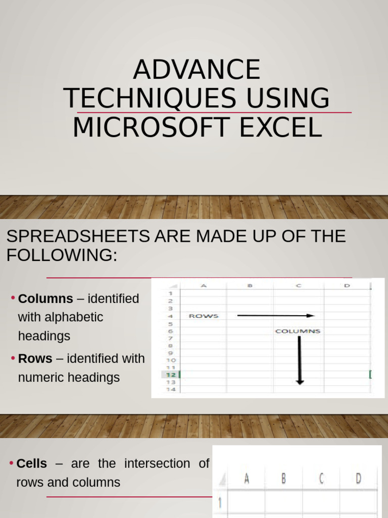 Advance Techniques Using MS Excel | PDF | Microsoft Excel | Spreadsheet