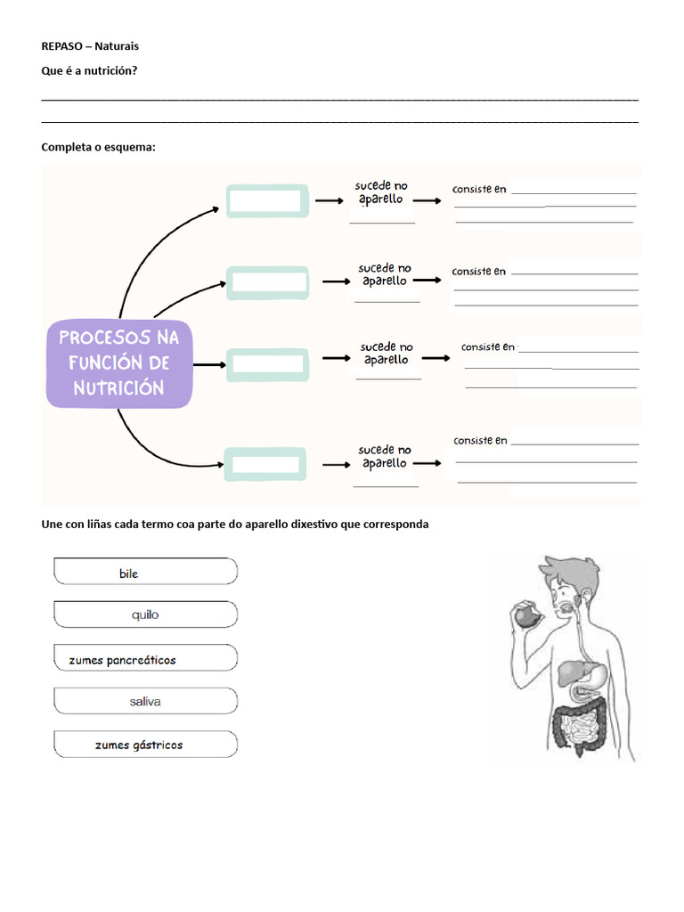 Repaso Naturais 6 Primaria | PDF
