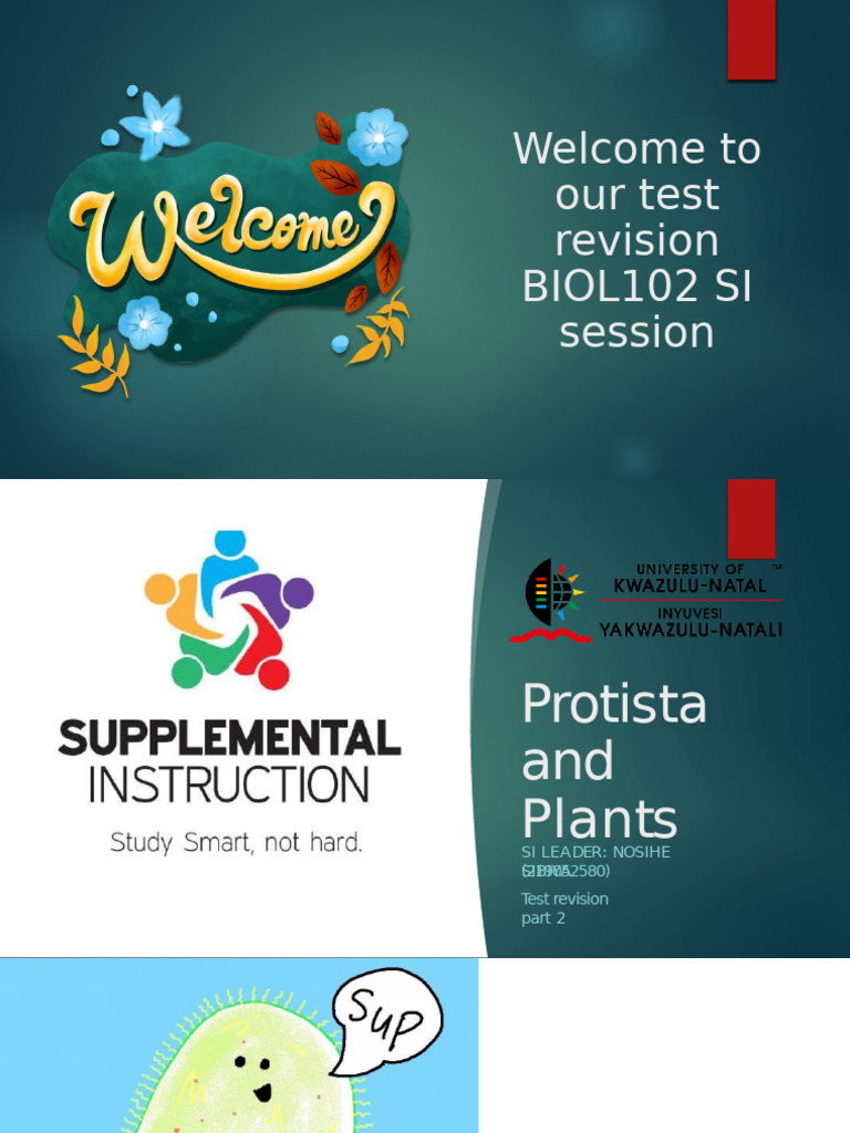 SI Session Worksheet Test 2 Revision Memo | PDF | Protozoa | Sexual ...