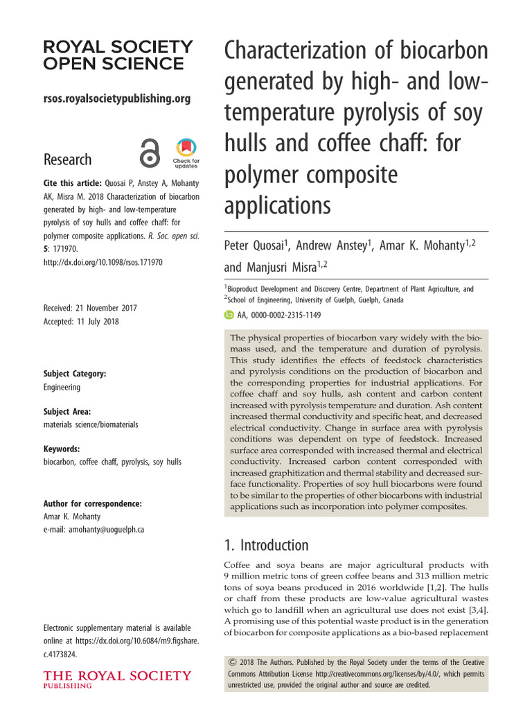Characterization of Biocarbon Generated by High - and Low-Temperature ...