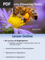 Amoeba Sisters Video Recap of Plant Reproduction in Angiosperms | PDF